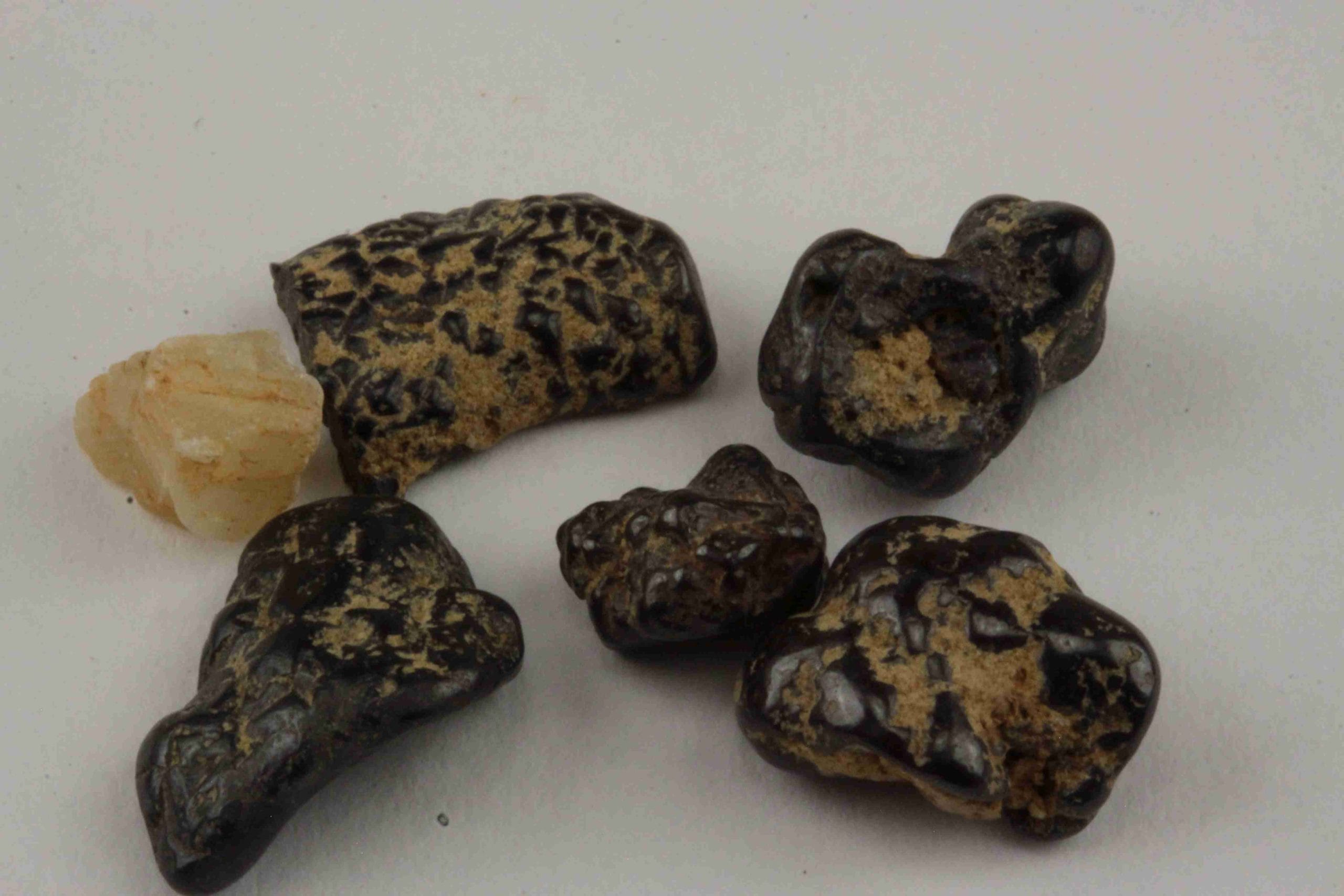 Zaujímavý nález oolitických ferolitov na Orave - Oravské múzeum